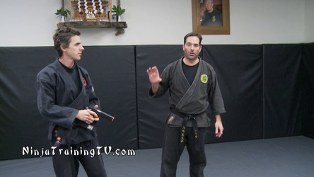 Handgun Disarms for Bujinkan Ninjutsu on Ninja Training TV - Ninja ...