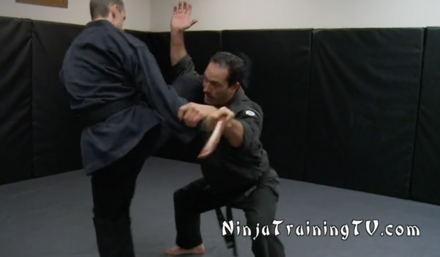 Gyoku Ryu Waza, Hanetsurube, Water Bucket Balance for Bujinkan Ninjutsu Training on Ninja ...