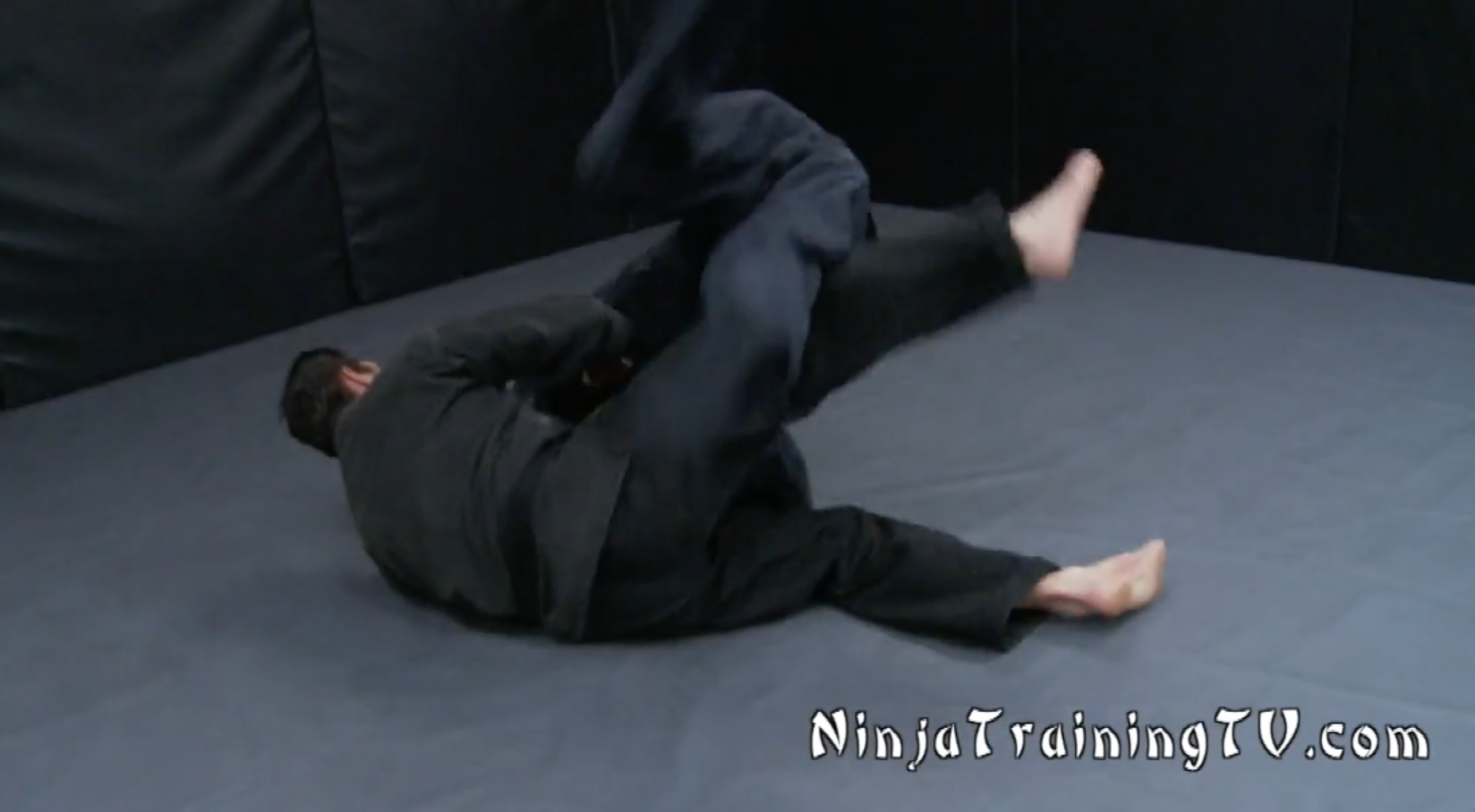Shinden Fudo Ryu Waza, Utsushi Dori, Imitating a Bird, for Bujinkan Ninjutsu Training - Ninja ...