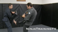 Learn the art of the Ninja in the privacy of your own home. - Ninja ...