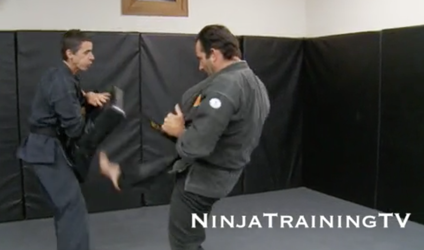 Power Kicking with Taijutsu for Bujinkan Ninjutsu Training on Ninja Training TV - Ninja Training TV