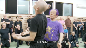Ninjutsu Training - Ninja Training TV